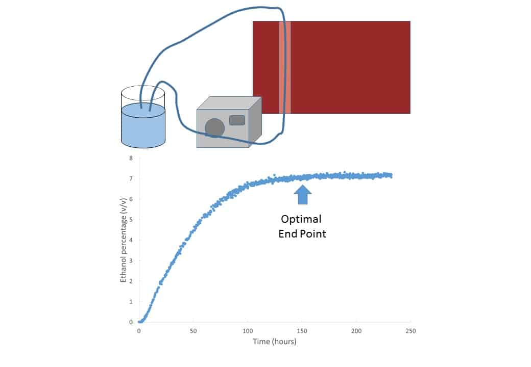 On-line Reaction Monitoring of Alcoholic Fermentation - Magritek