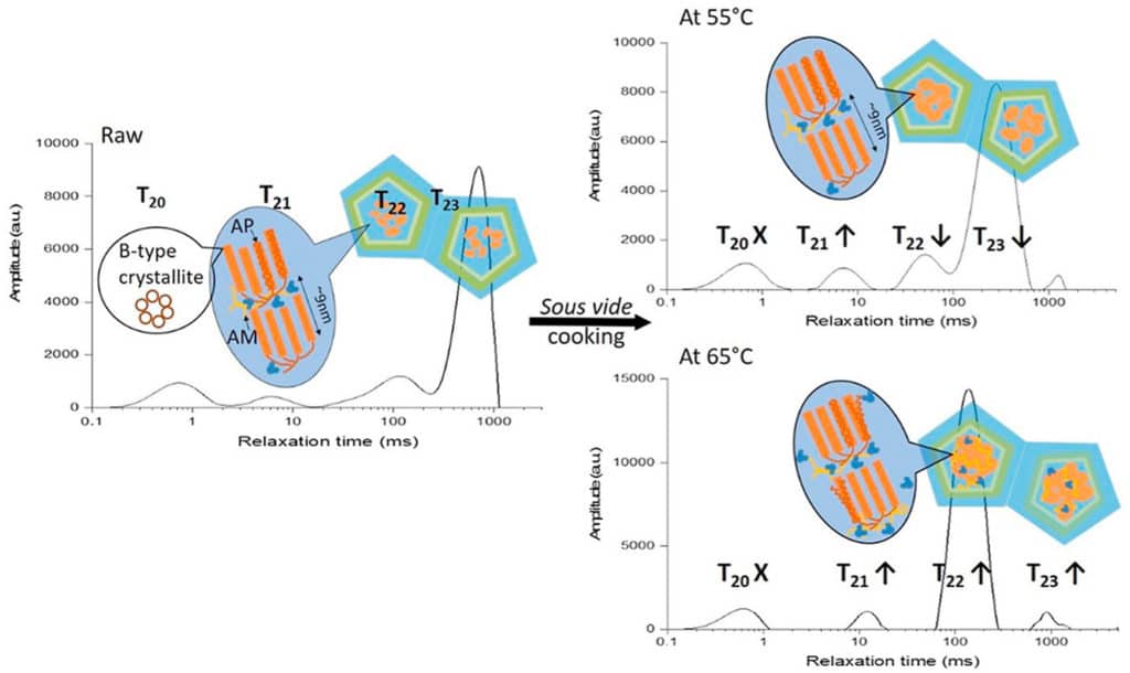 244. Sous vide processed potatoes: Starch retrogradation in tuber and ...