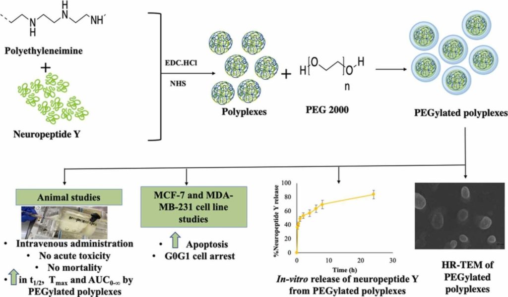 331. Improvement in Therapeutic Activity and Stability of Neuropeptide ...