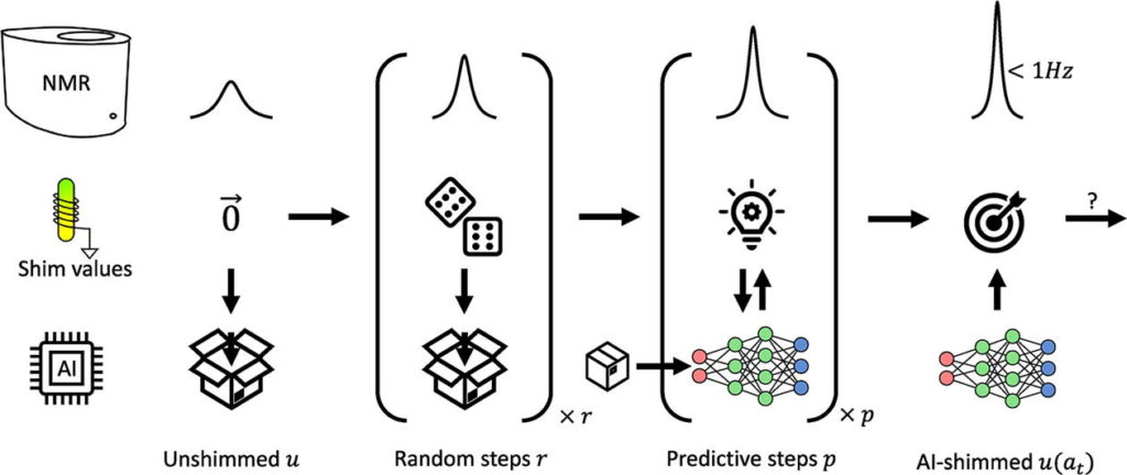 344. Acquisitions with random shim values enhance AI-driven NMR ...