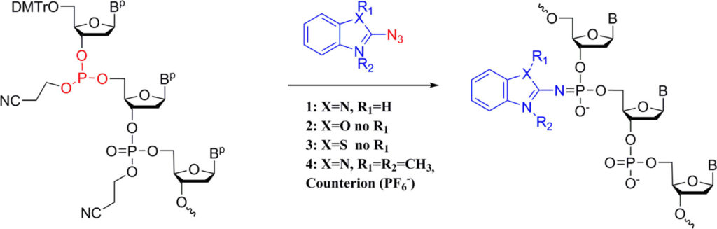 361. Synthesis of Oligonucleotides Carrying Inter-nucleotide N-(Benzoazole)-phosphoramide ...