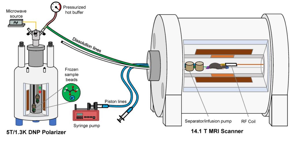 371. Highly versatile dissolution DNP: implementation of a multi ...