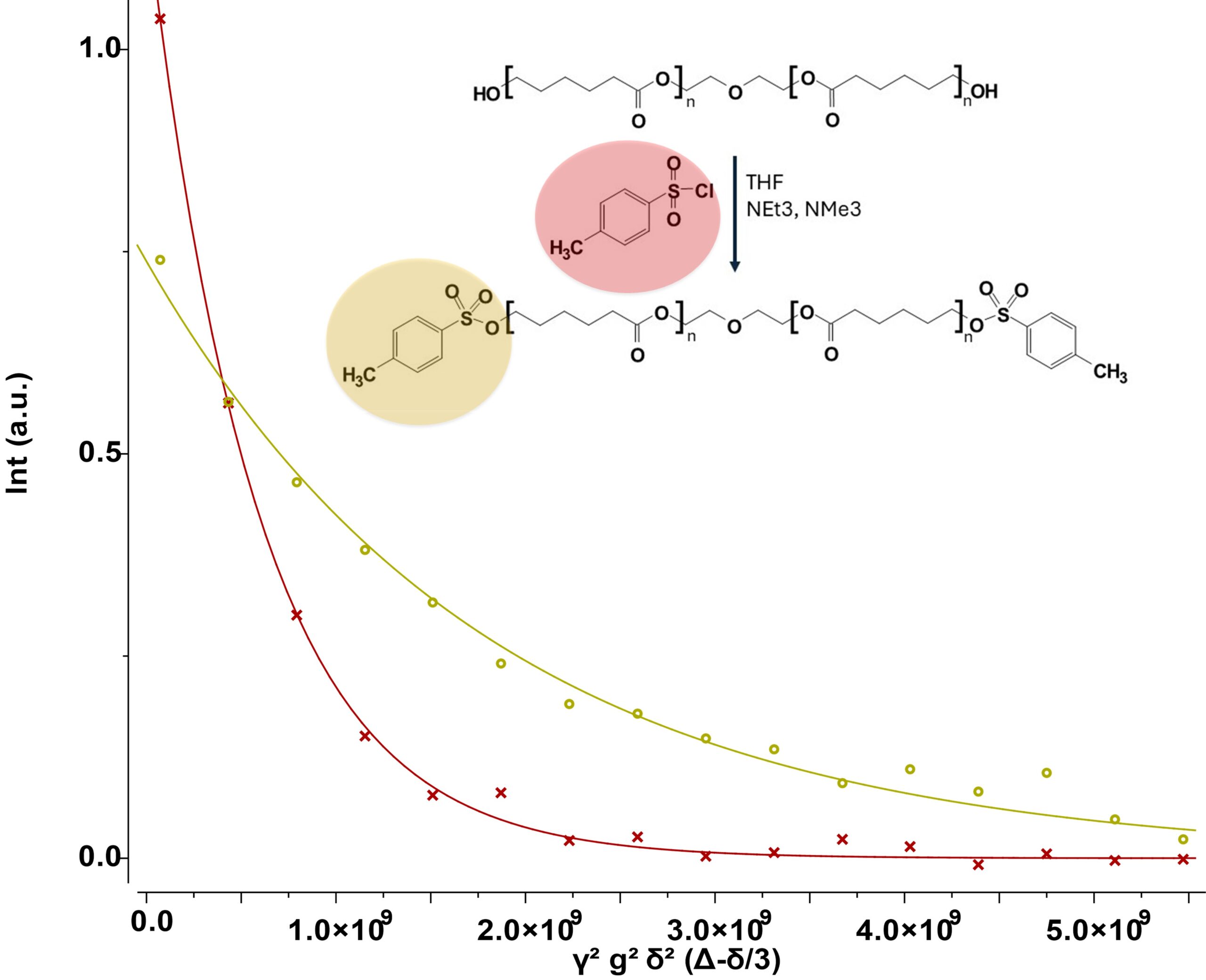 Monitoring Polymer Functionalization by diffusion NMR - Magritek