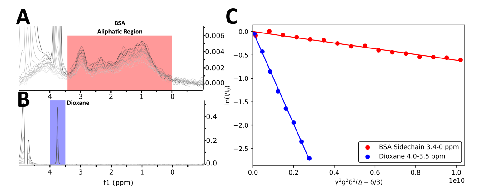 Determining the Protein Radius of Hydration by Diffusion NMR - Magritek
